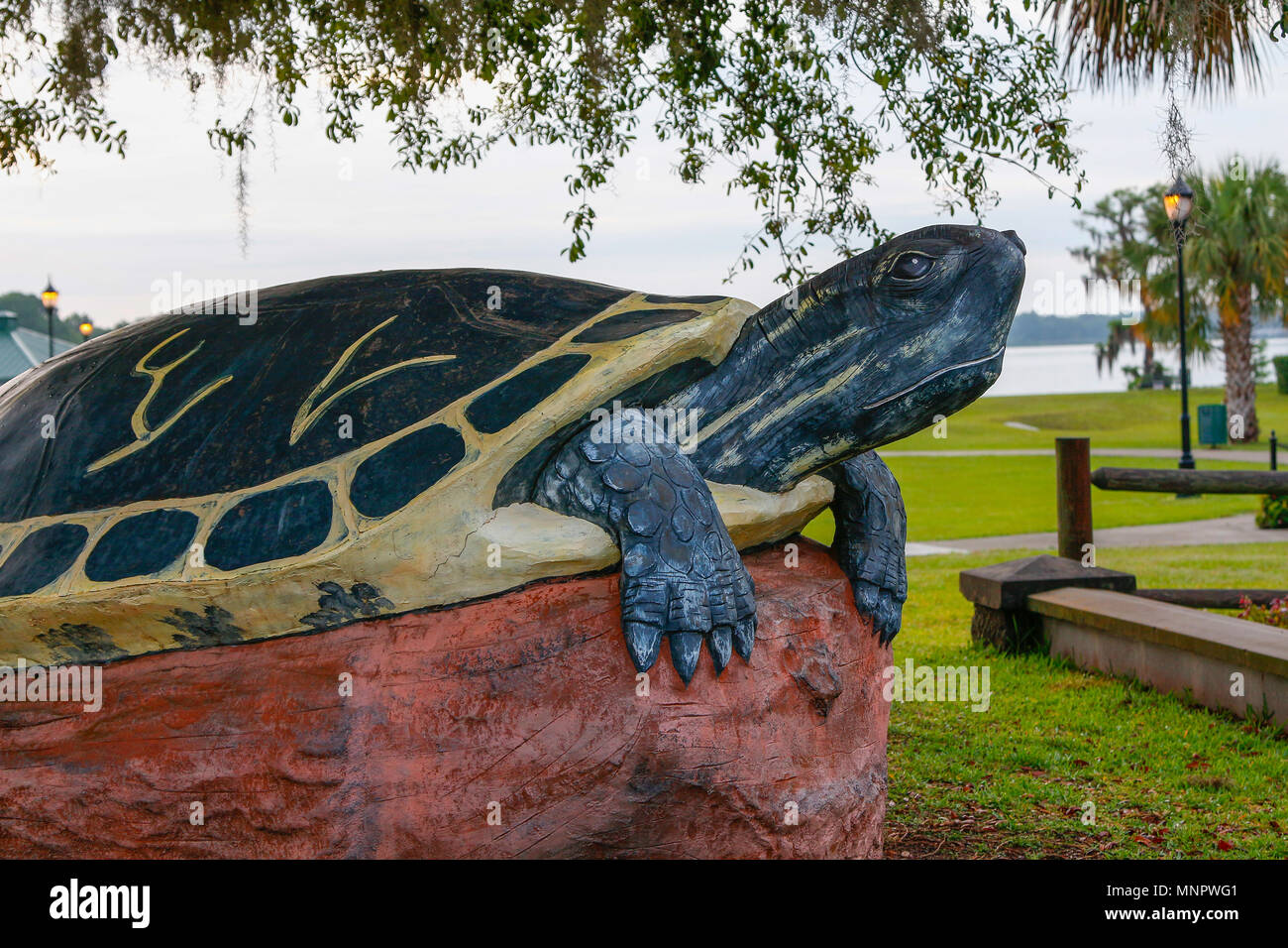 Landmark turtle sculpture in a public park, Inverness, Florida Stock ...