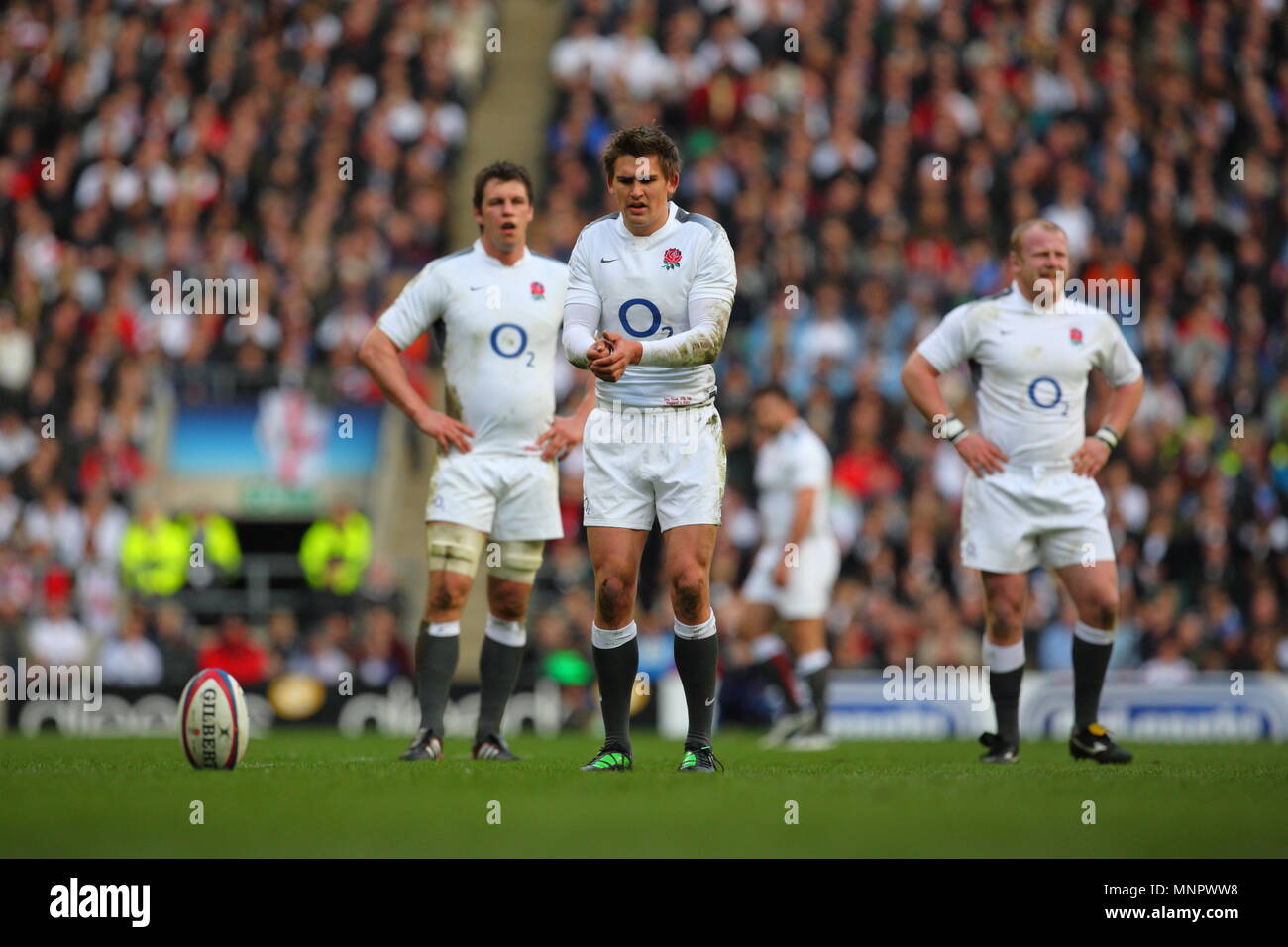 Toby flood tigers hi-res stock photography and images - Alamy