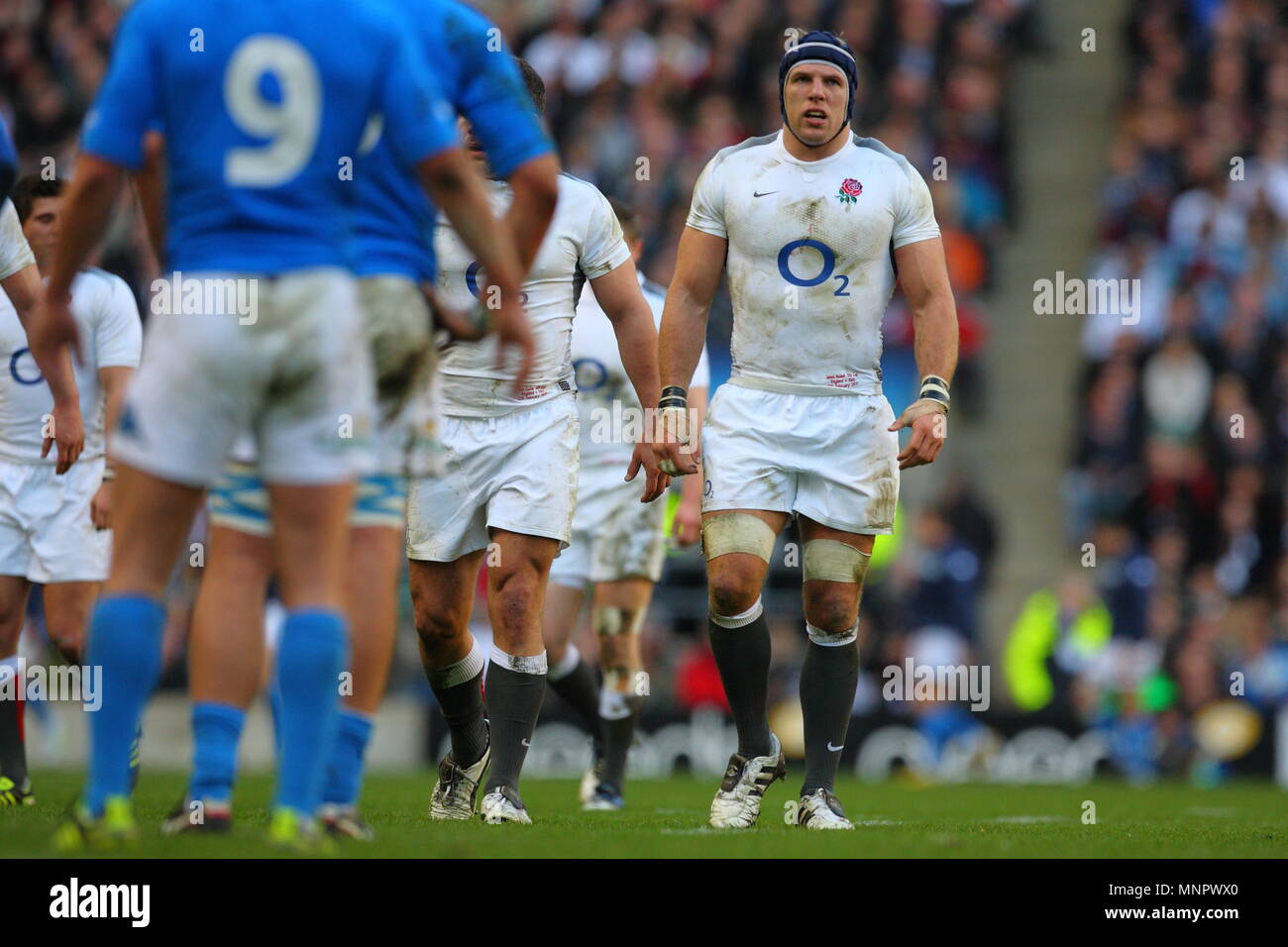 Wasps james haskell hi-res stock photography and images - Alamy