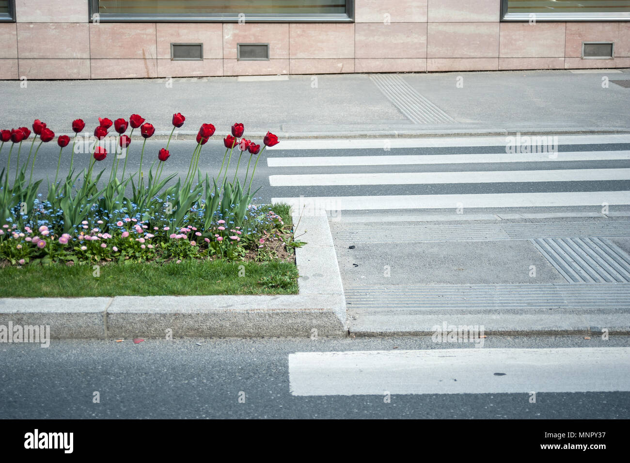salzburg, crosswalk with flowers, a nice contrast Stock Photo - Alamy