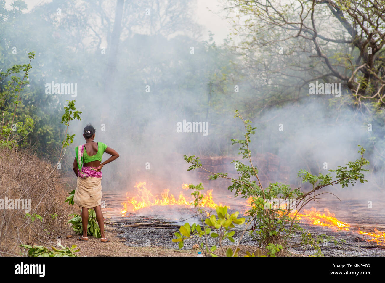 Female Indian farmer standing with her back to the camera and looking ...