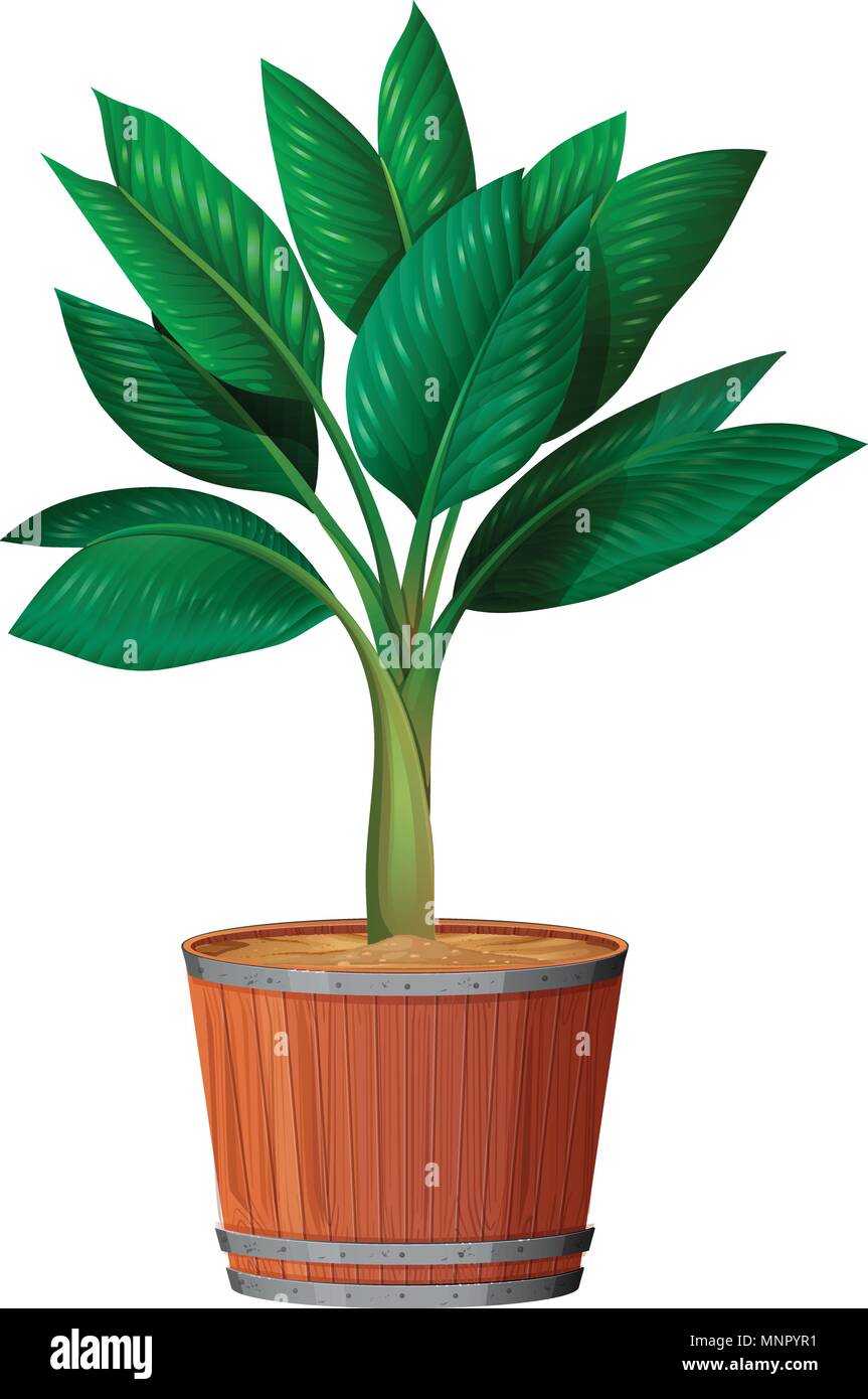 Small decorative tree in Stock Vector Images - Alamy