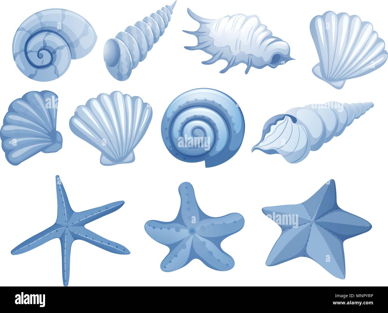 A Set of Blue Seashell illustration Stock Vector Image & Art - Alamy