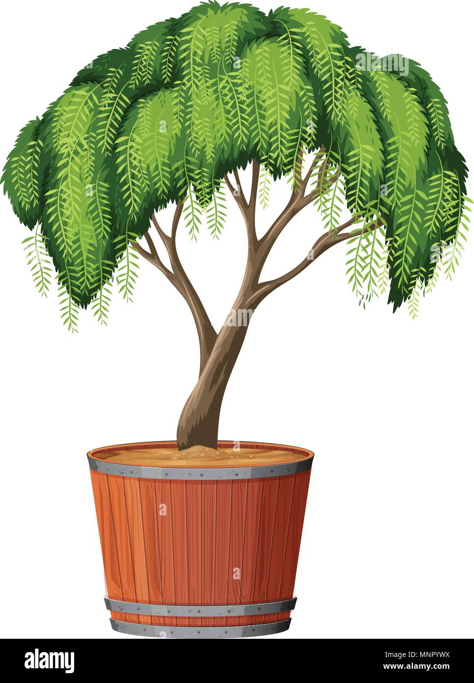 A Tree Planting in the Pot illustration Stock Vector Image & Art - Alamy