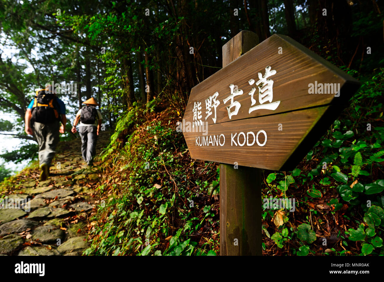 Kumano kodo pilgrimage route hi-res stock photography and images - Alamy
