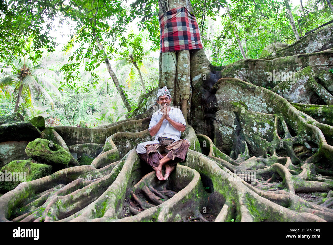 BALI, INDONESIA -23 JANUARY: Spiritual man sits under the tree, January ...