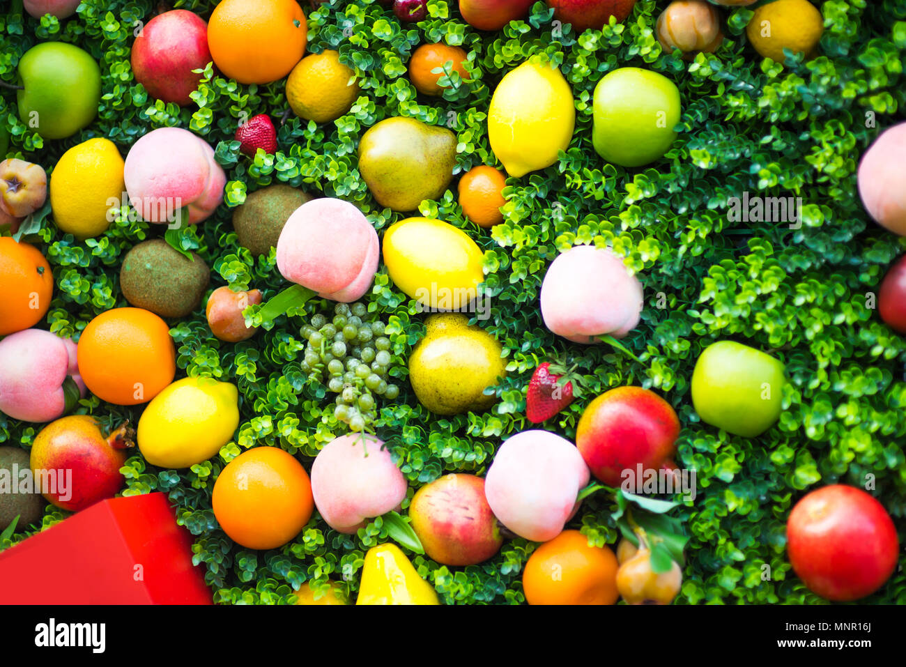 Vegetable art composition abstract hi-res stock photography and images ...
