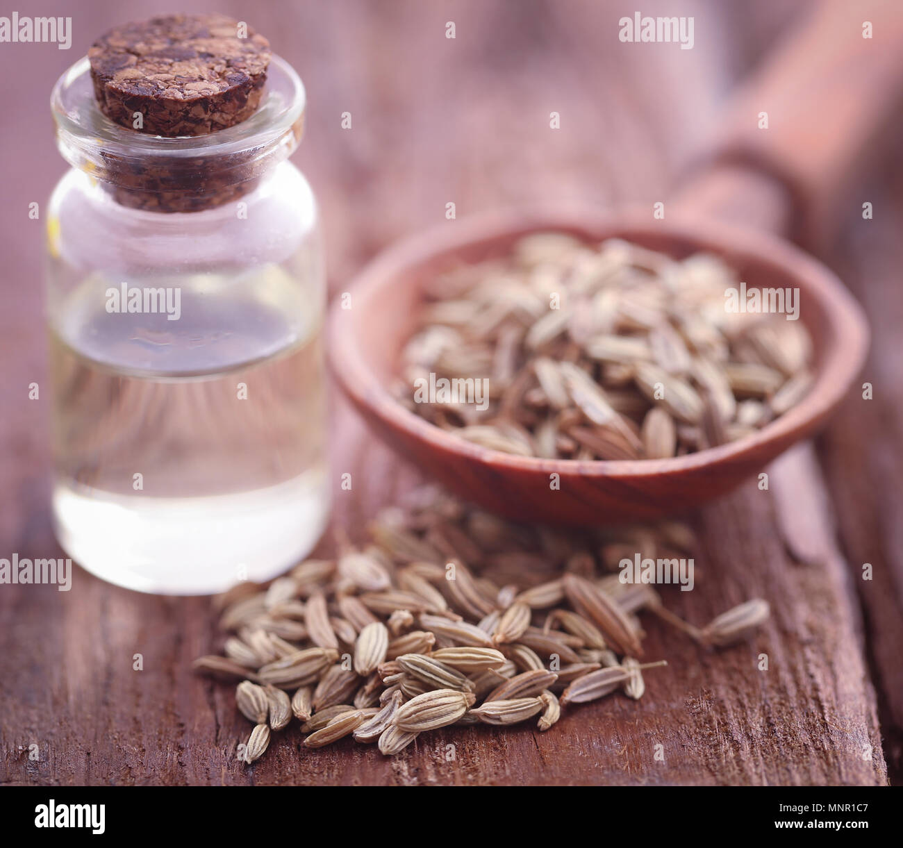 Fennel seeds with essential oil in a bottle on natural surface Stock ...
