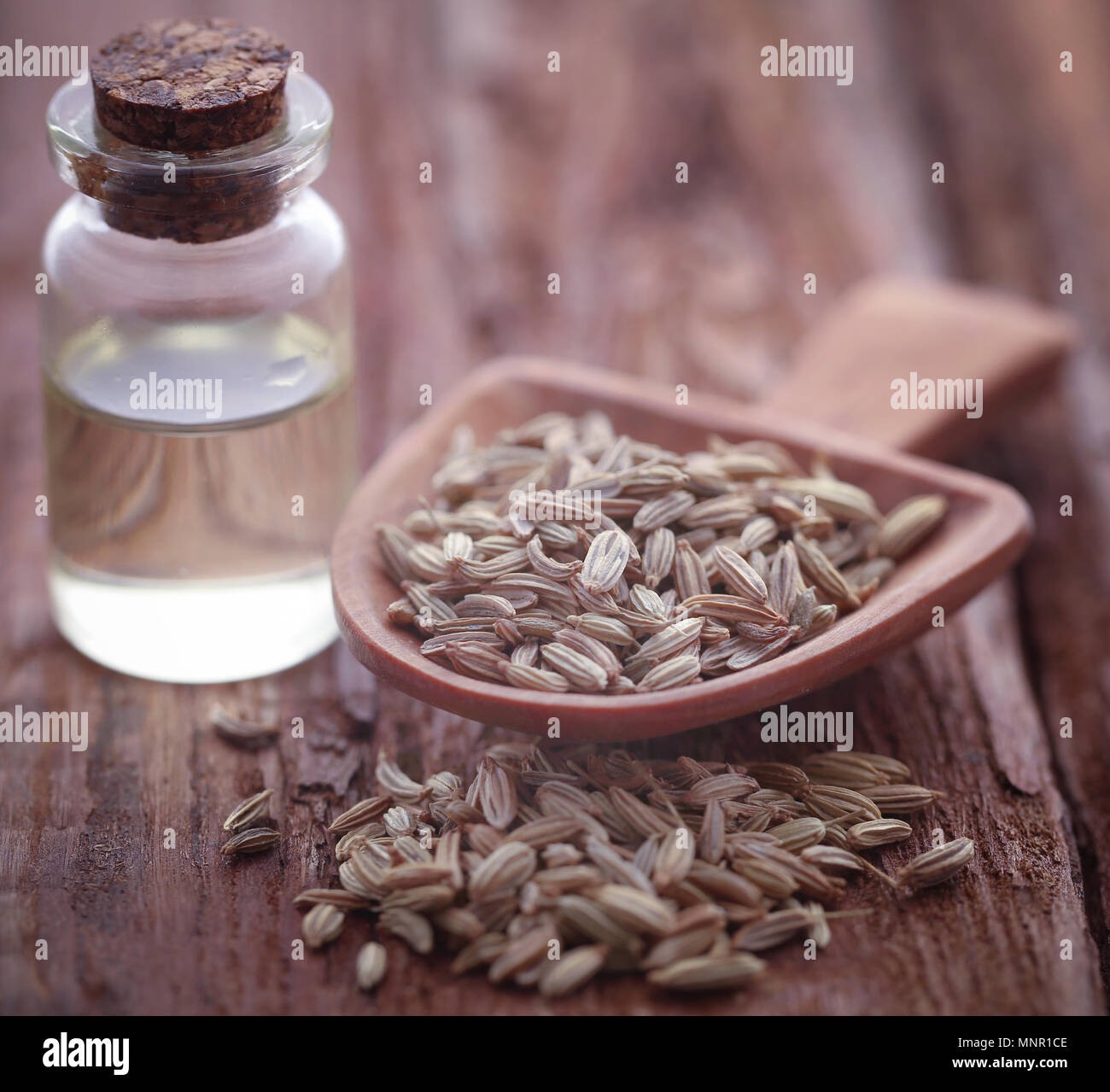 Fennel seeds with essential oil in a bottle on natural surface Stock ...