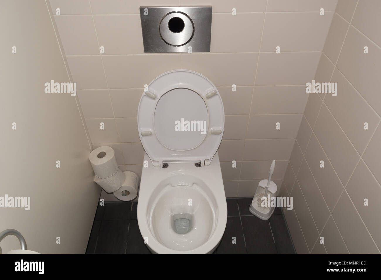 Cleaning a toilet with a toilet brush Stock Photo - Alamy