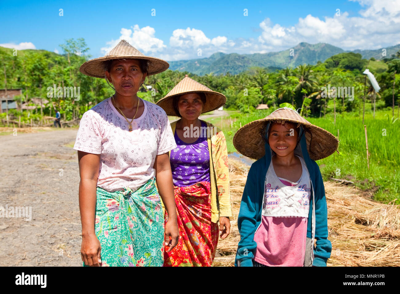 LOMBOK,INDONESIA- FEBRUARY 12: Local people after harvesting rice on ...