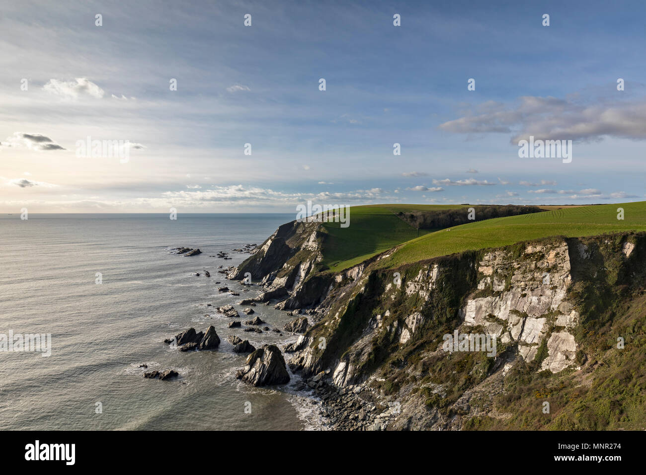 Wyscombe beach hi-res stock photography and images - Alamy