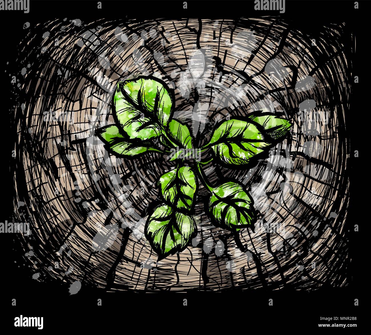 Sprout Drawing
