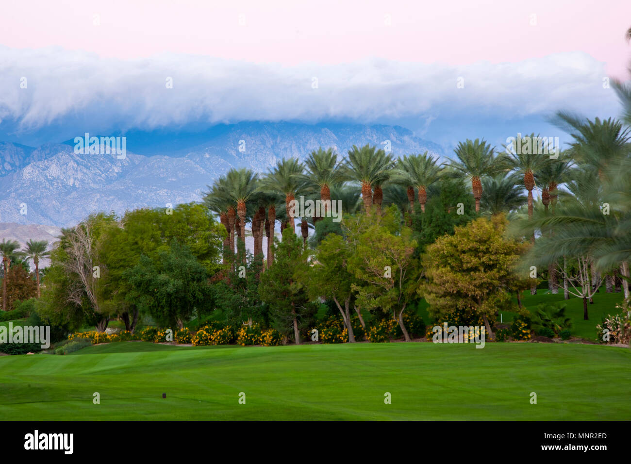 Palm Trees Clouds and Palm Springs Golf Stock Photo - Alamy