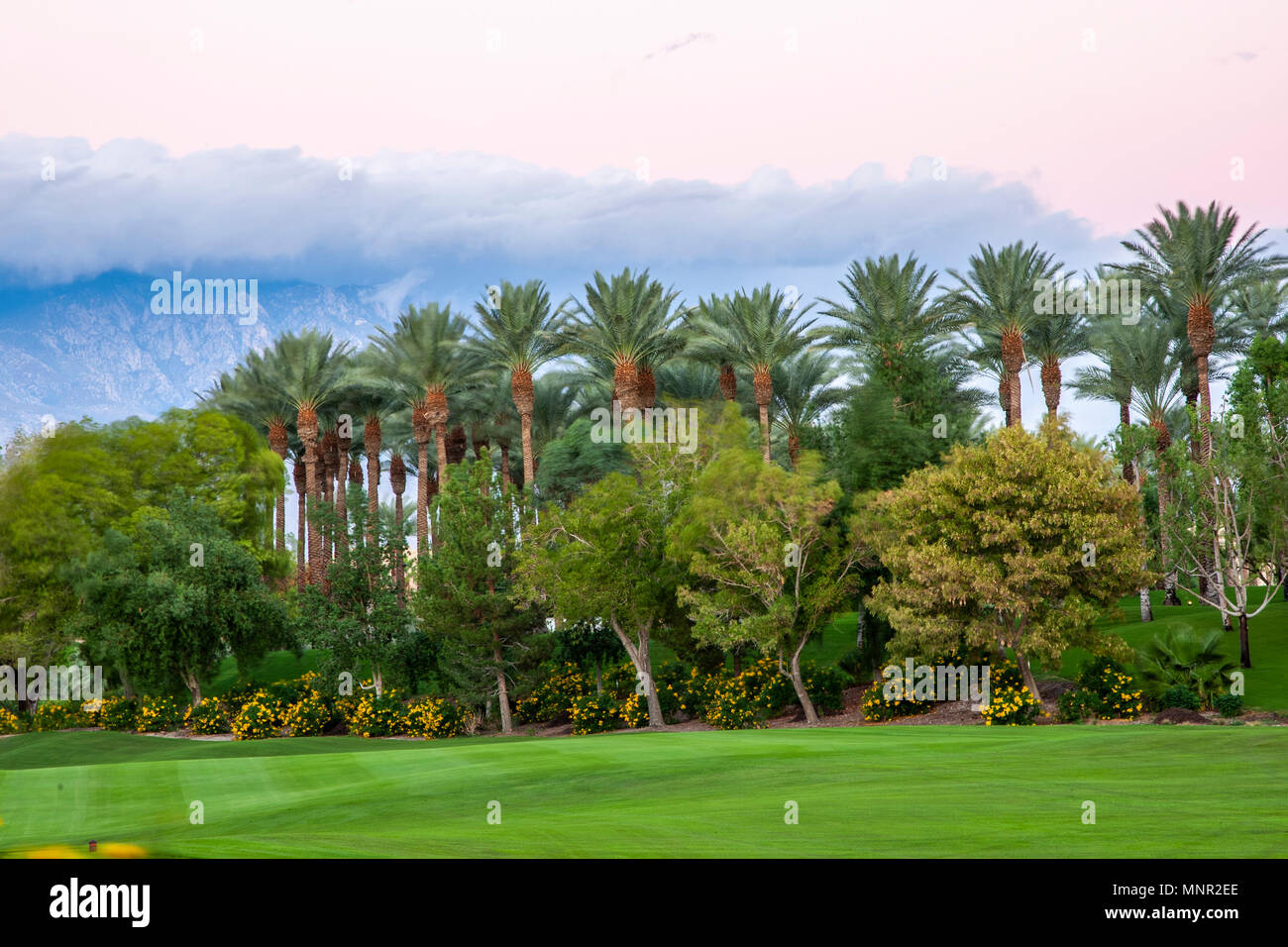 Palm Springs Golf Course Stock Photo - Alamy