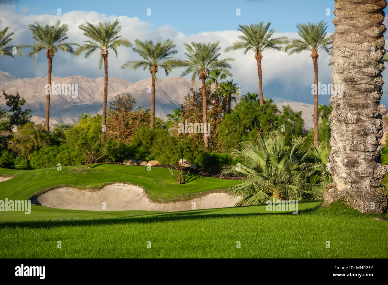 Bunker on golf course hi-res stock photography and images - Alamy