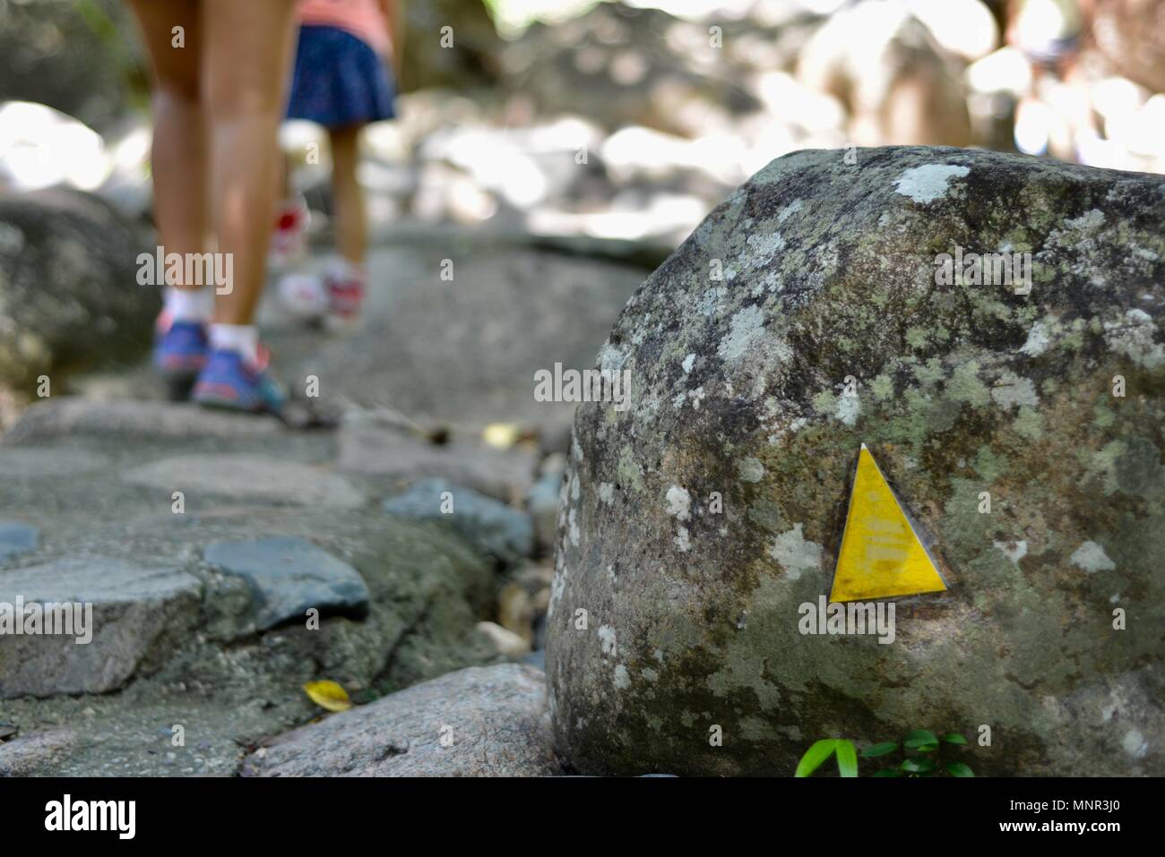 A yellow reflector triangle path indicator guidance, Jourama Falls ...