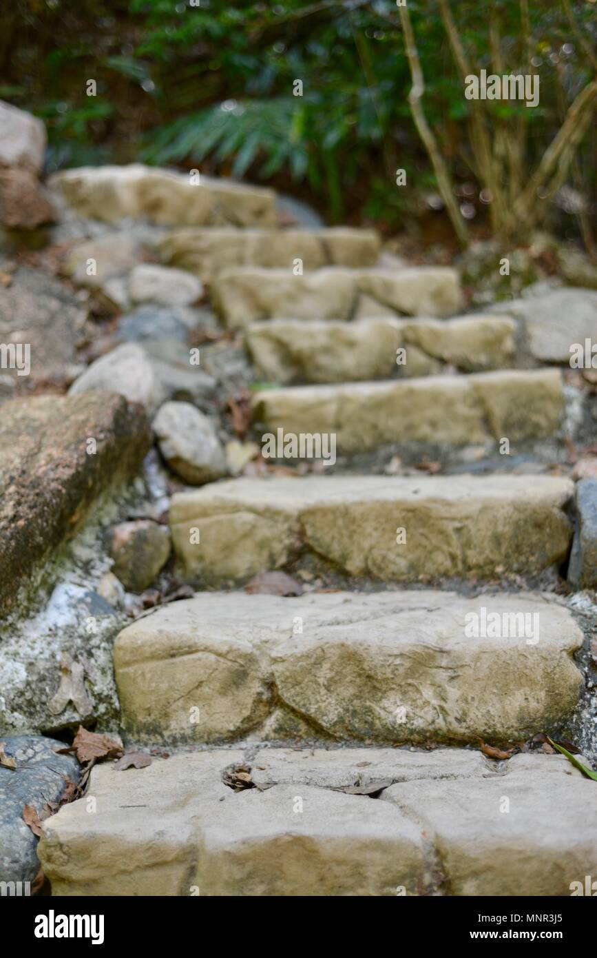 Preformed stone like concrete steps going up in a forest, Jourama Falls ...