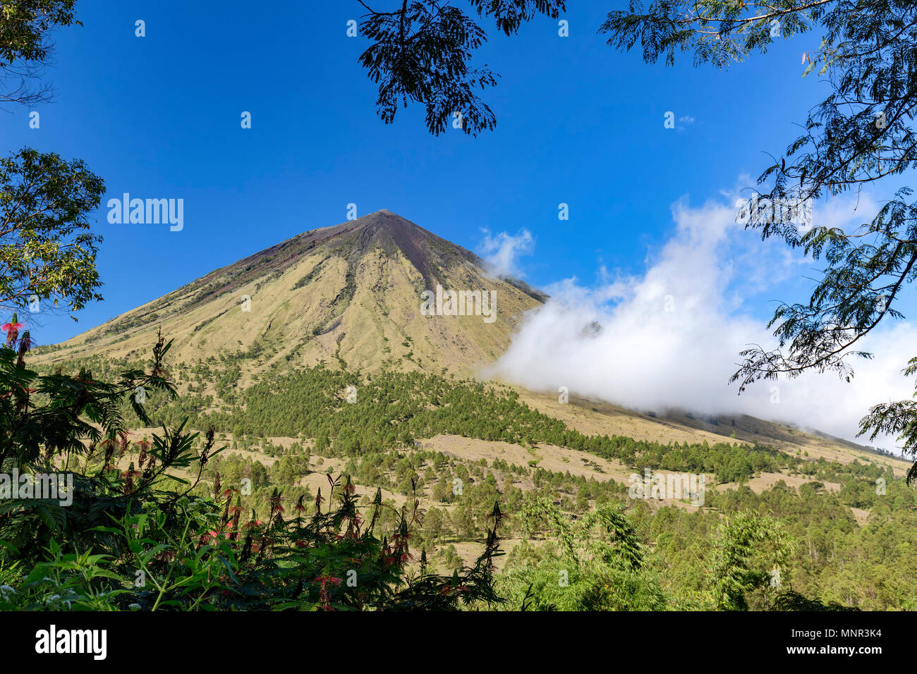 View of Mount Inerie near Bajawa, Indonesia Stock Photo - Alamy