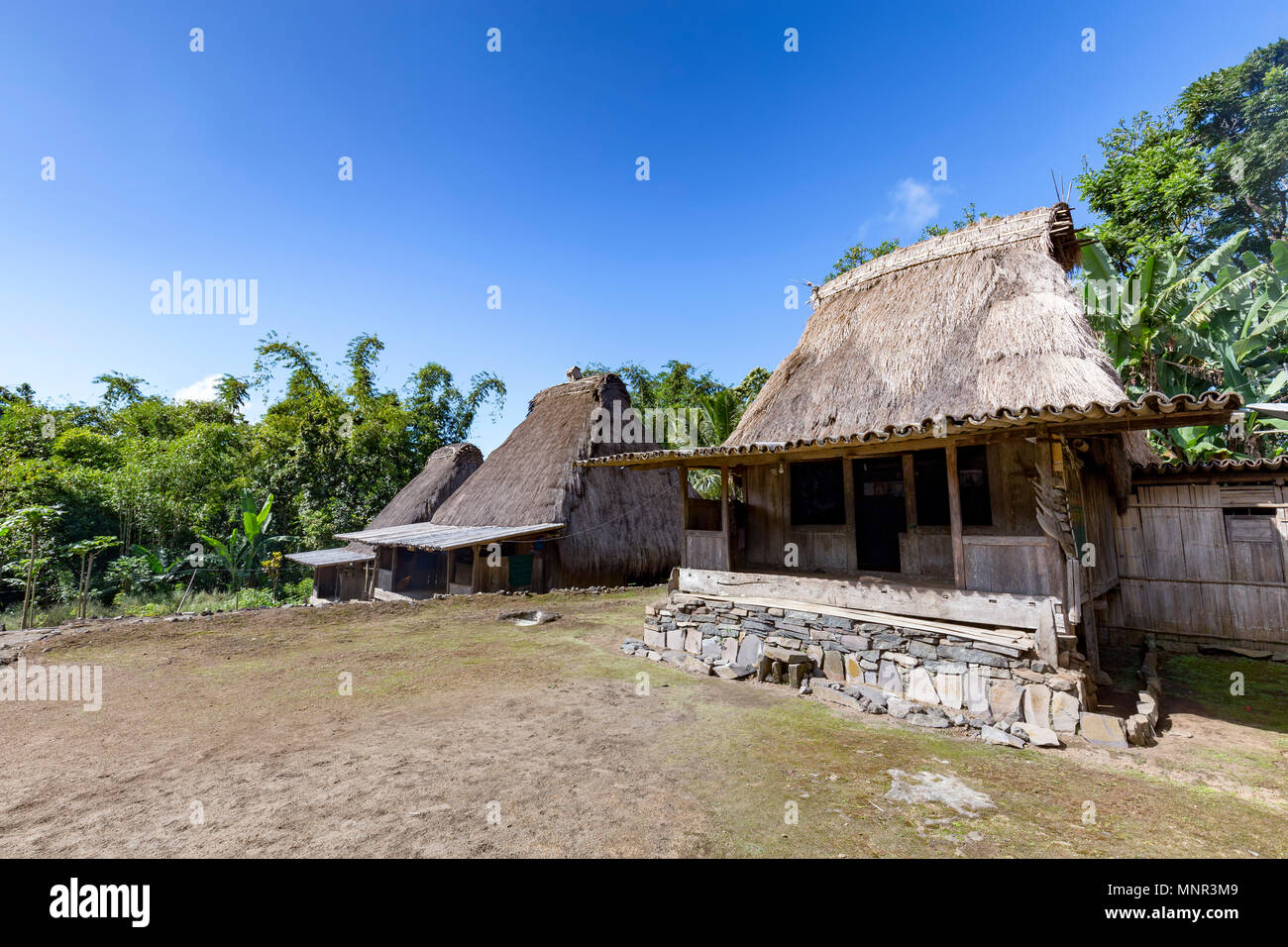 Indonesia Flores Island Luba Village High Resolution Stock Photography ...