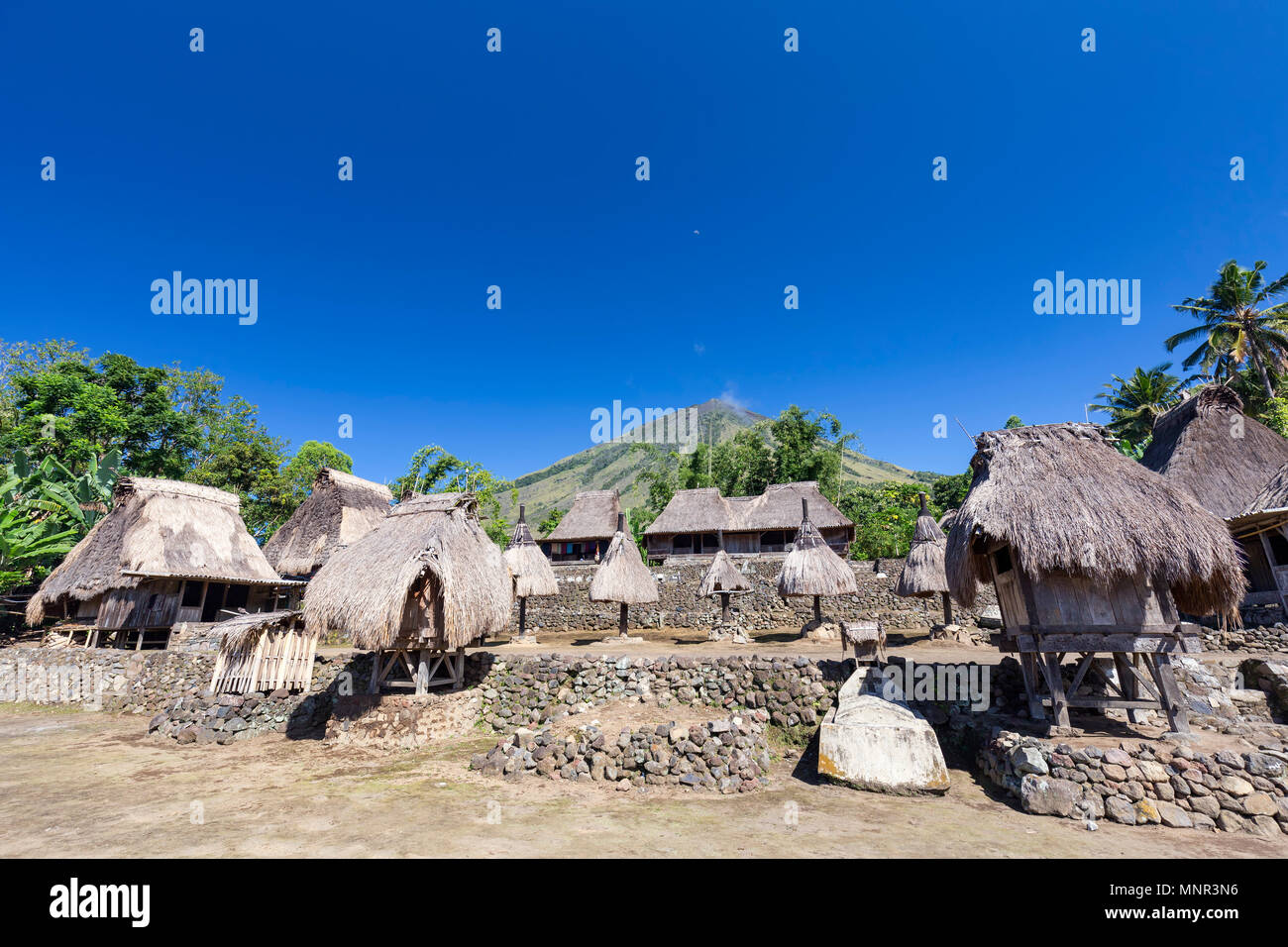 Male and female ancestral shrines known as Ngadhu and Bhaga in the ...
