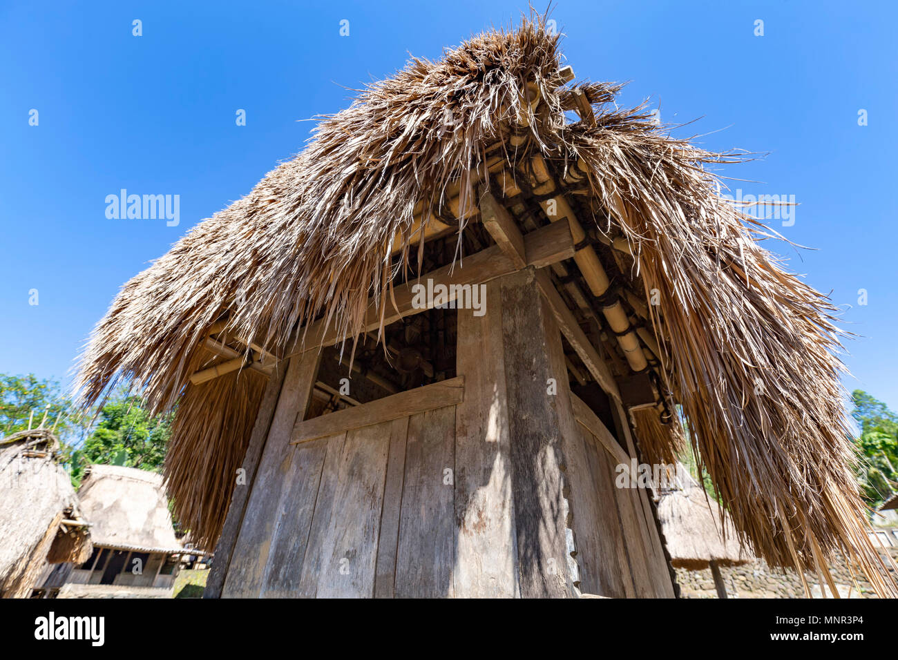 A Bhaga shrine representing female ancestors in the center of the Luba ...