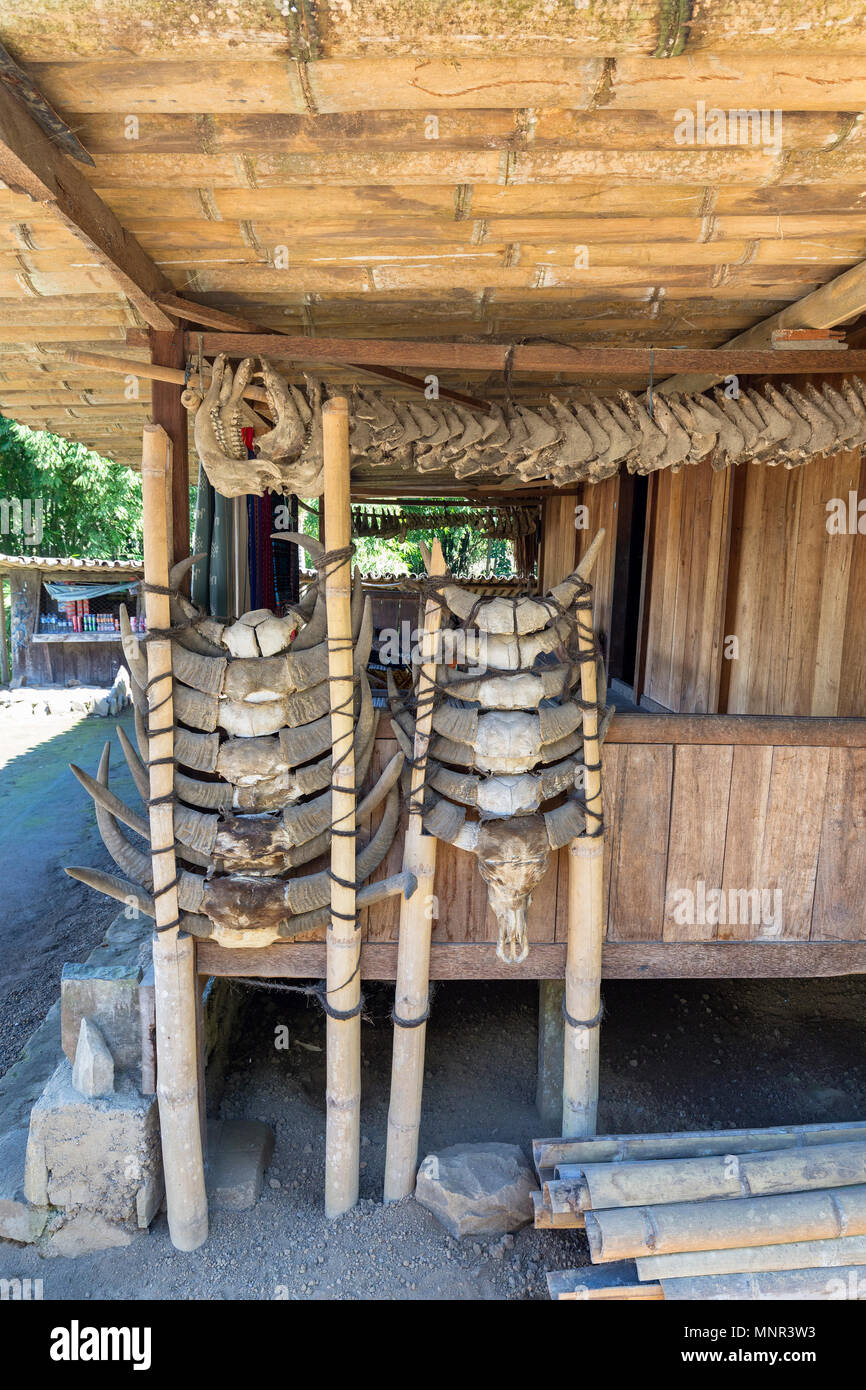 Animal skulls used for ritual sacrafice on the front porch of a ...