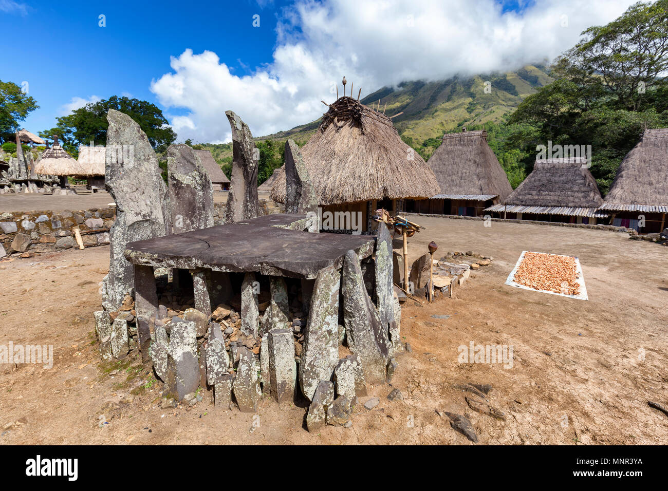 Mount Inerie draped in clouds looks over the Bena traditional village ...