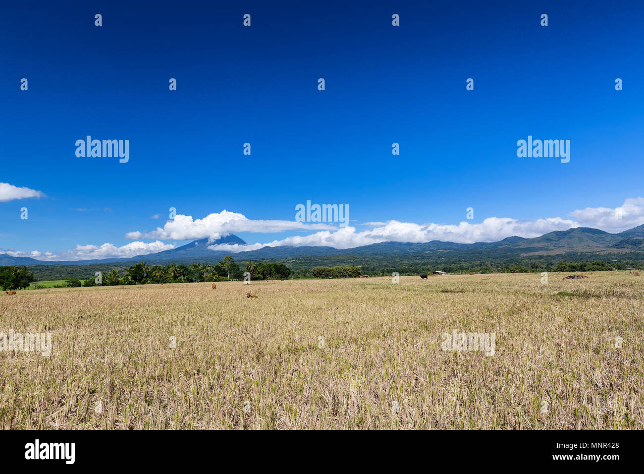 Ebulobo volcano hi-res stock photography and images - Alamy