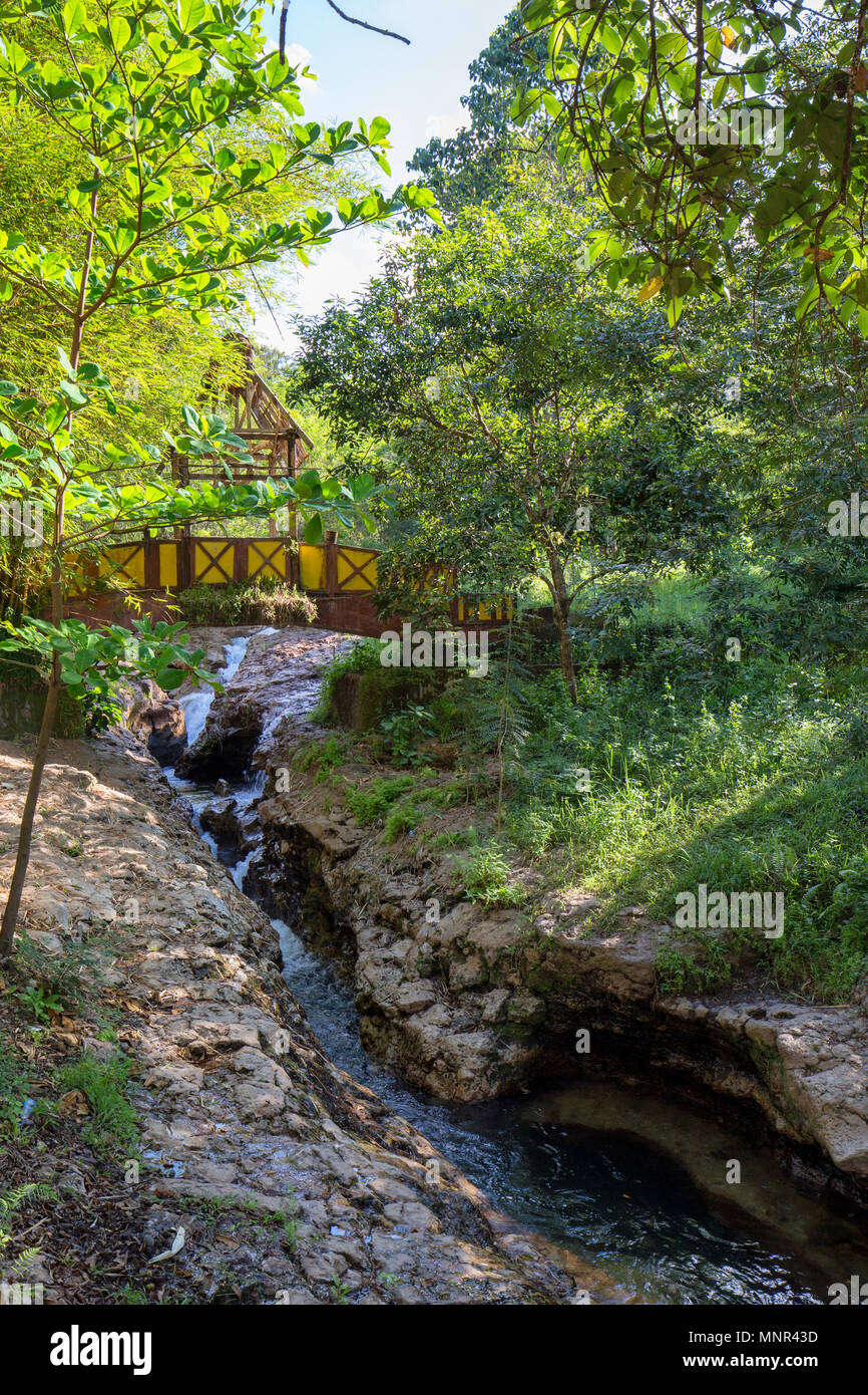 Bridge over Hot Springs in the Mengeruda Hot Spring near Bajawa ...