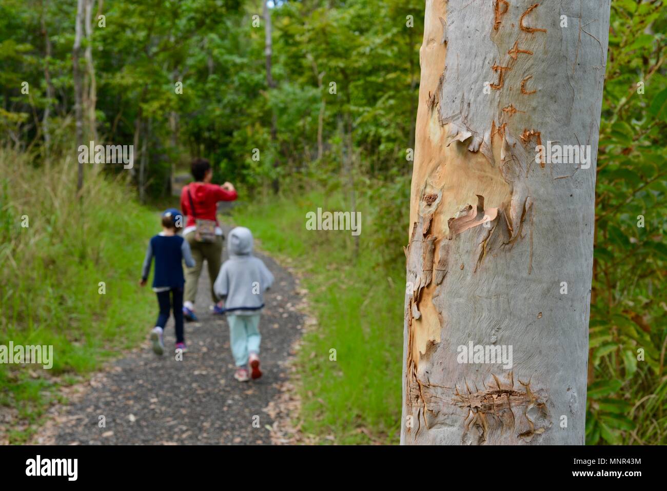 Children Walking Along A Path In A Tropical Rainforest High Resolution ...