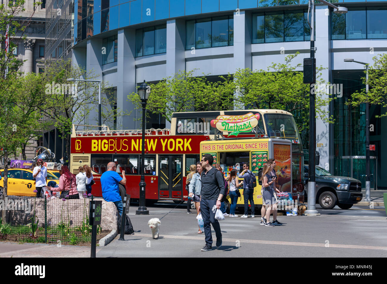 New York, USA - May 9, 2018 : Big Bus Tours USA. It offers sightseeing ...