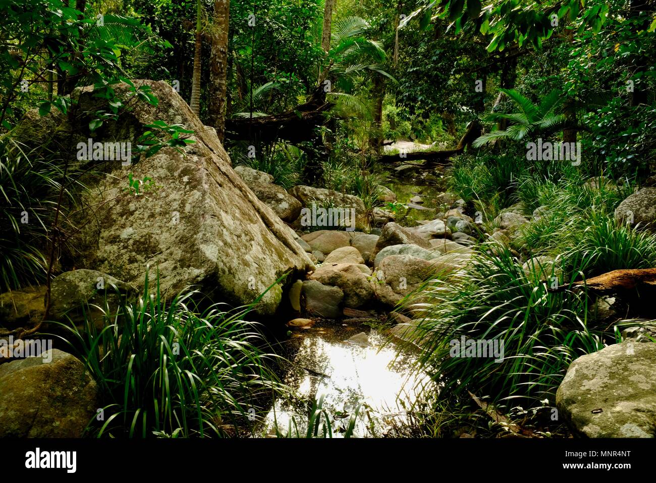 Jourama Falls High Resolution Stock Photography and Images - Alamy