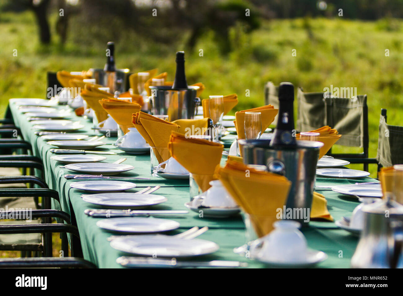 Safari breakfast hi-res stock photography and images - Alamy