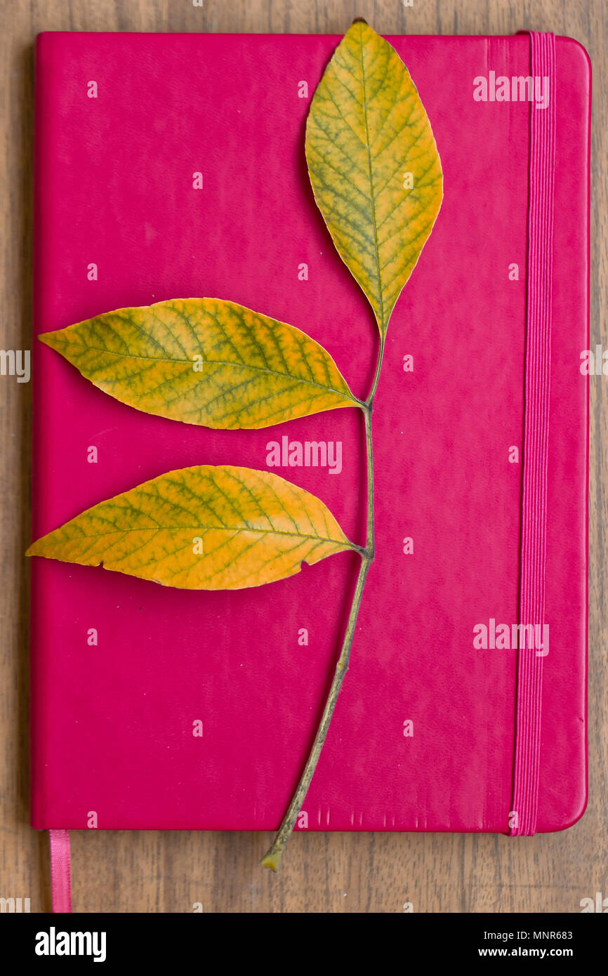 Autumn yellow leaves on a notepad Stock Photo - Alamy