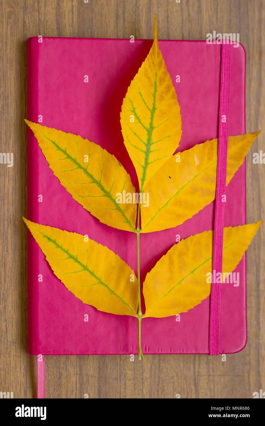 Autumn yellow leaves on a notepad Stock Photo - Alamy