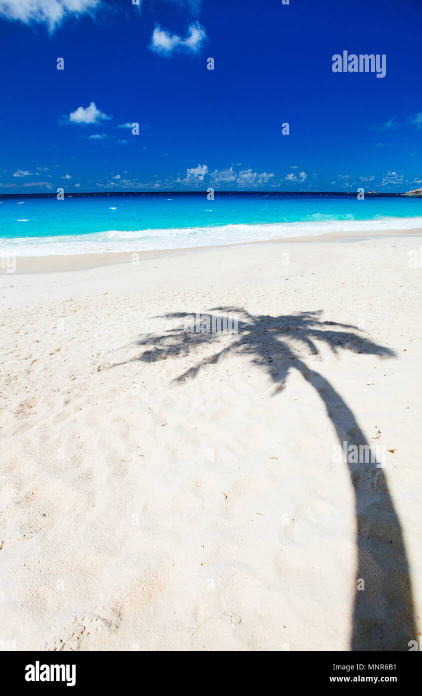 Palm tree shadow on tropical white sand beach Stock Photo - Alamy
