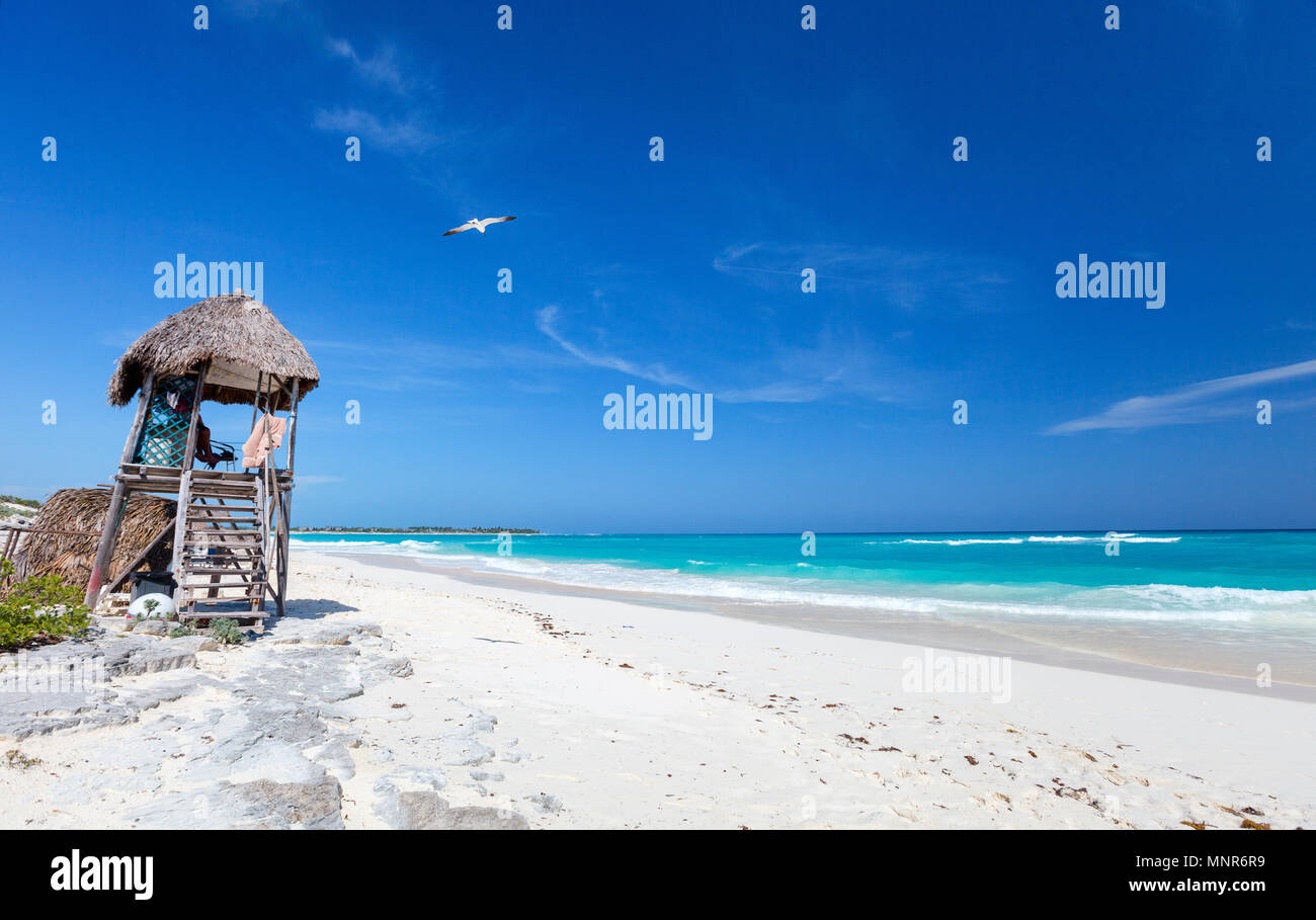 White sand beach caribbean hi-res stock photography and images - Alamy