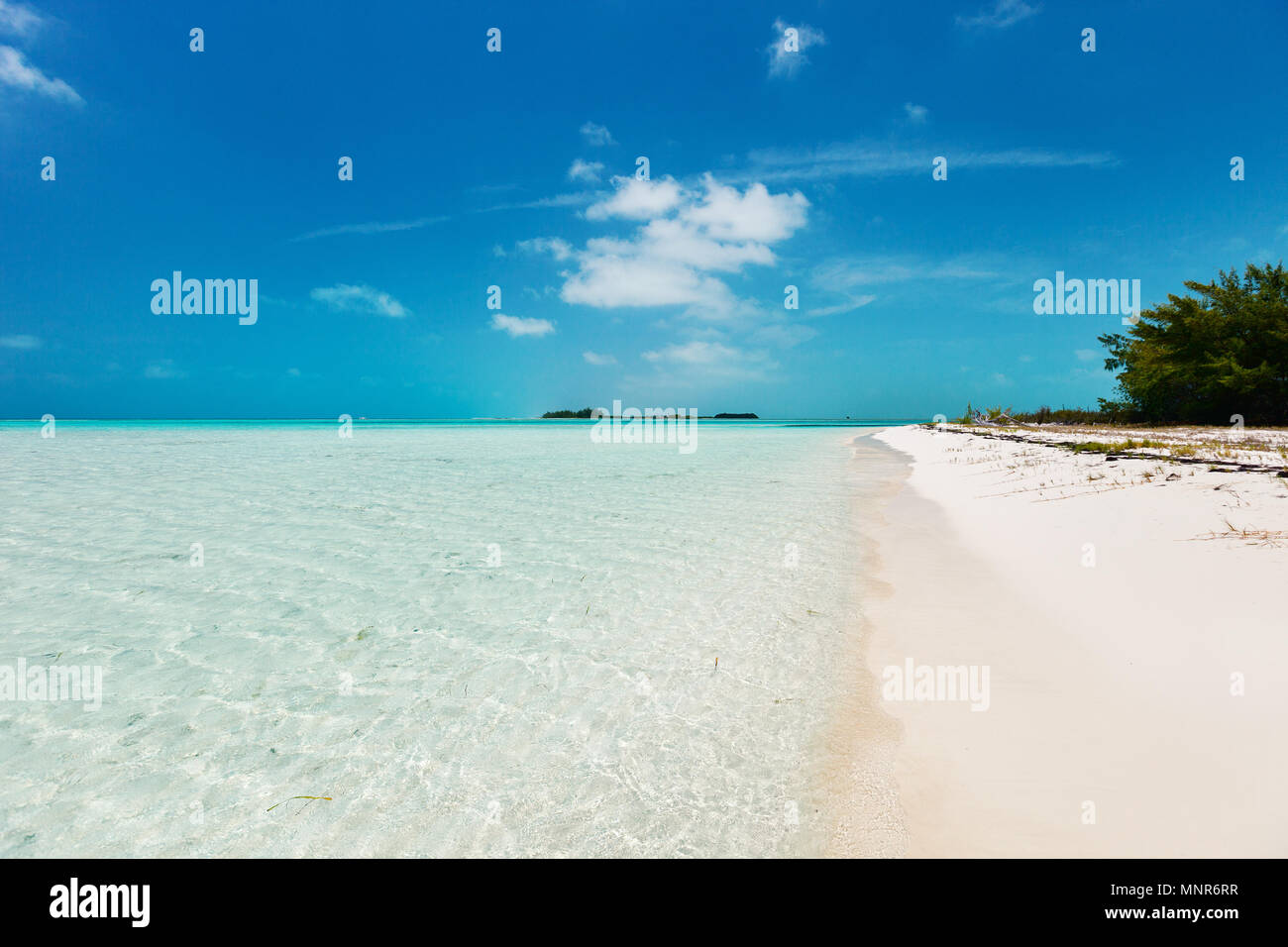 White sand beach caribbean hi-res stock photography and images - Alamy