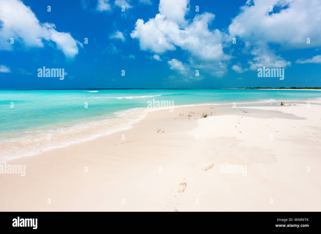 Beautiful white sand beach and Caribbean sea in Cuba Stock Photo - Alamy