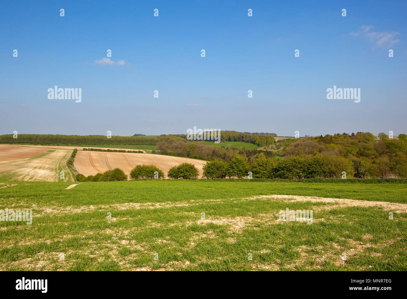 Upland soil hi-res stock photography and images - Alamy