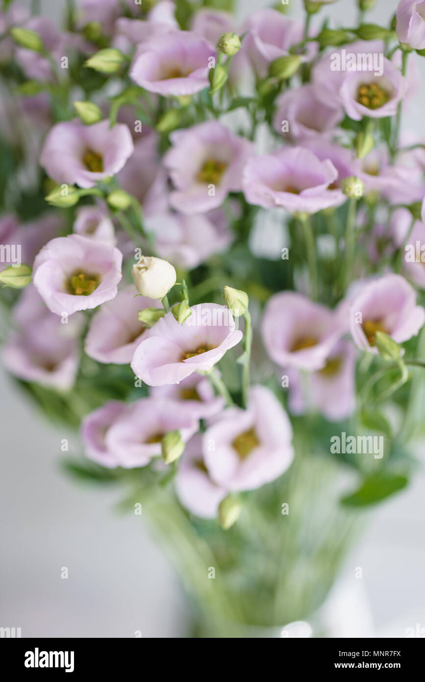 Glass Flowers Wallpapers