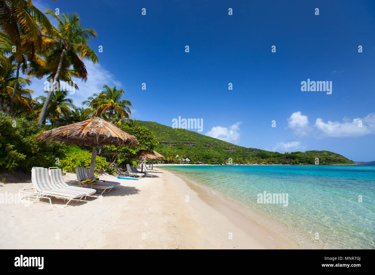 Beautiful tropical beach with palm trees, white sand, turquoise ocean ...