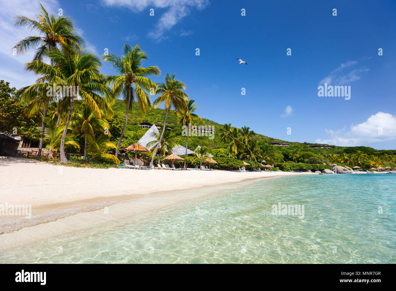 Beautiful tropical beach with palm trees, white sand, turquoise ocean ...