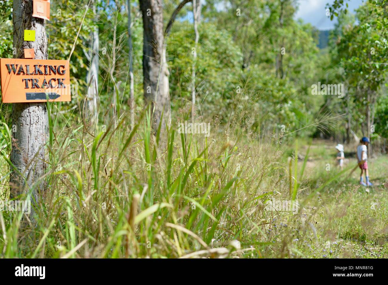 Walking track trail sign for Mount Halifax trail, Rollingstone QLD ...