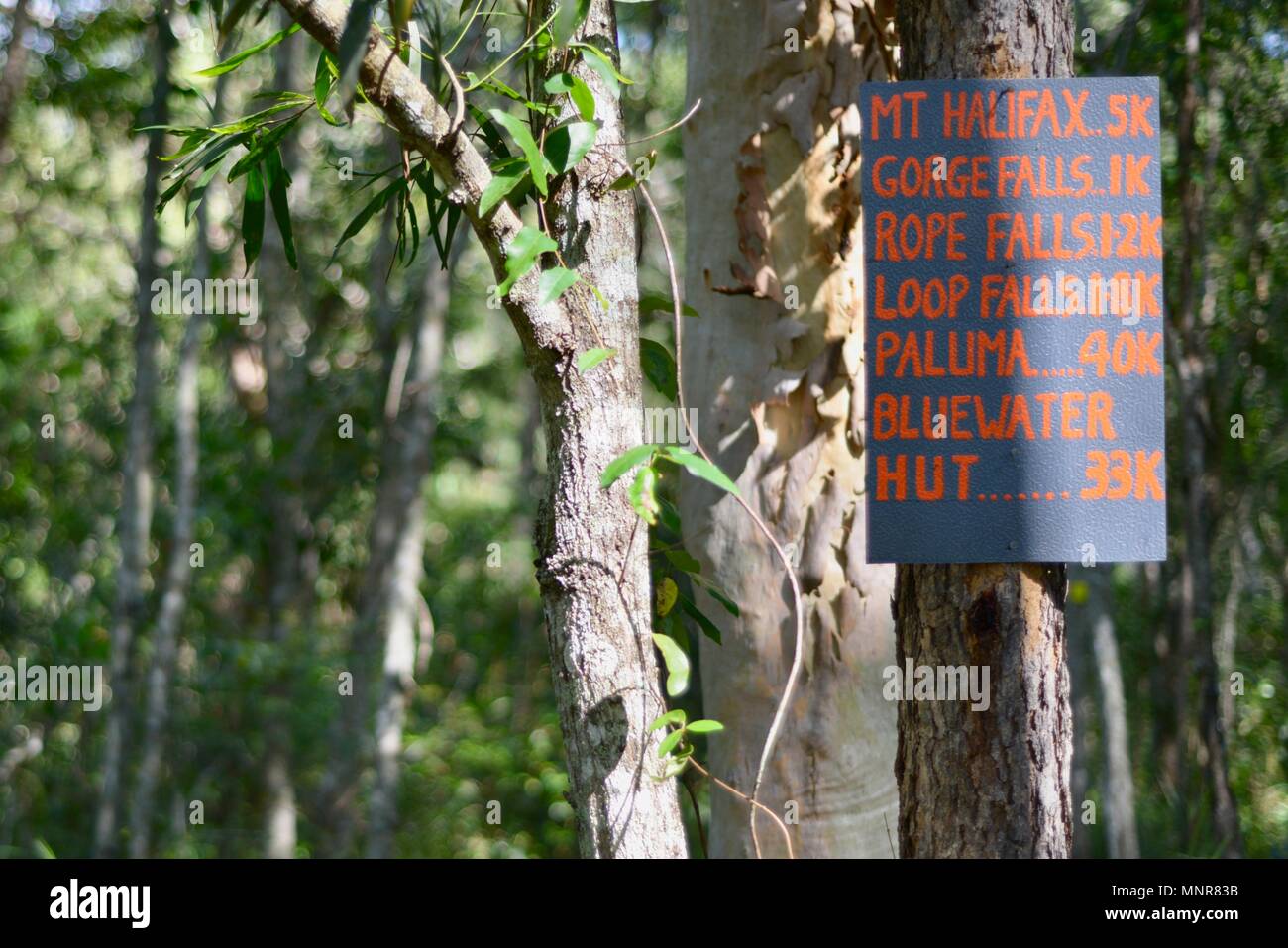 An informal information and distance sign for the Mount Halifax trail ...