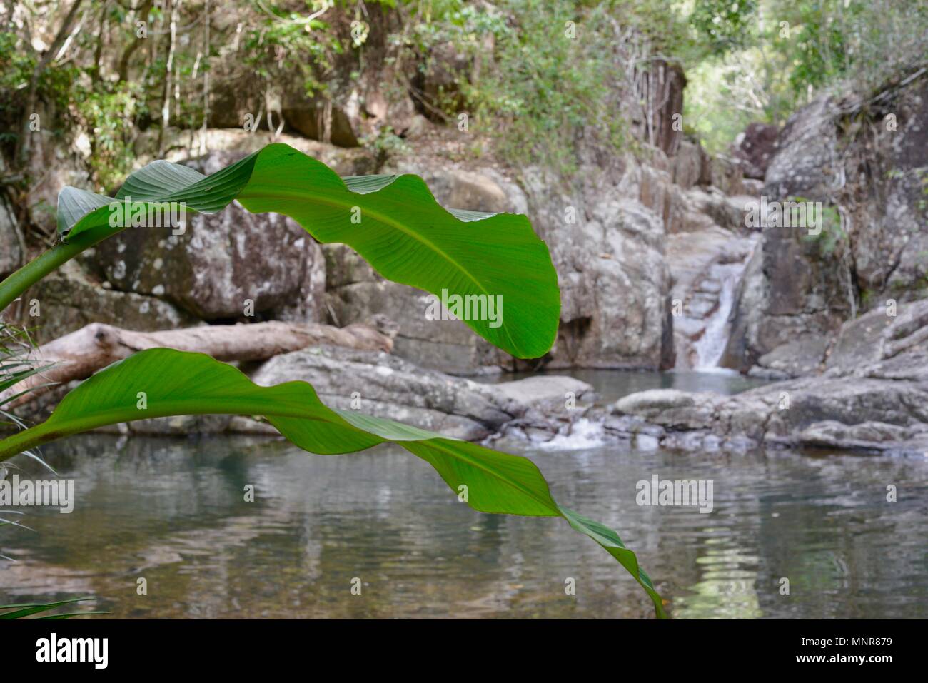 The waterfall below Gorge falls unnamed in Paluma range national park ...