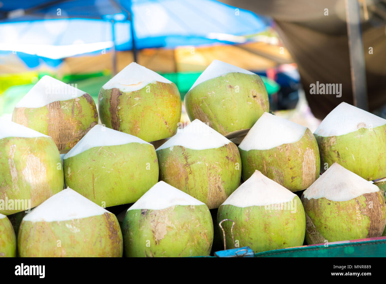fresh coconut in the market, point of sale fresh coconut drink Stock ...