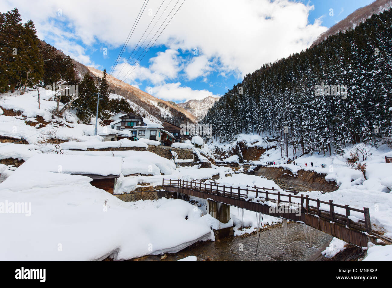 Winter landscape and forest covered with snow in Nagano, Japan Stock ...