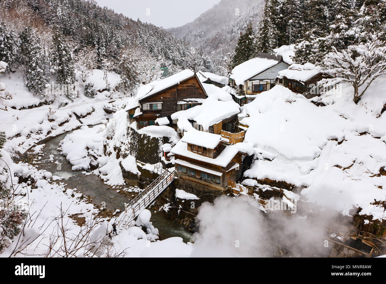 Winter landscape and forest covered with snow in Nagano, Japan Stock ...